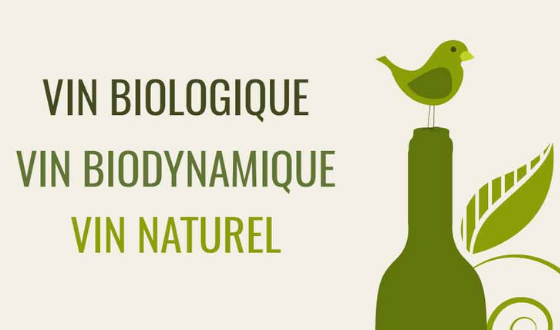 Vin Biologique, Vin Biodynamique, Vin Naturel : quelles différences ...