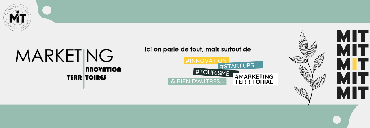 Master Innovation & territoires - Master Marketing - Vente