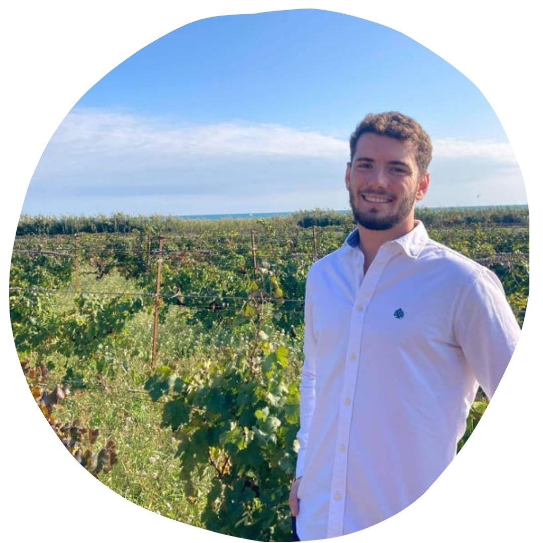 Nicolas Le Neel - Master Marketing - Vente