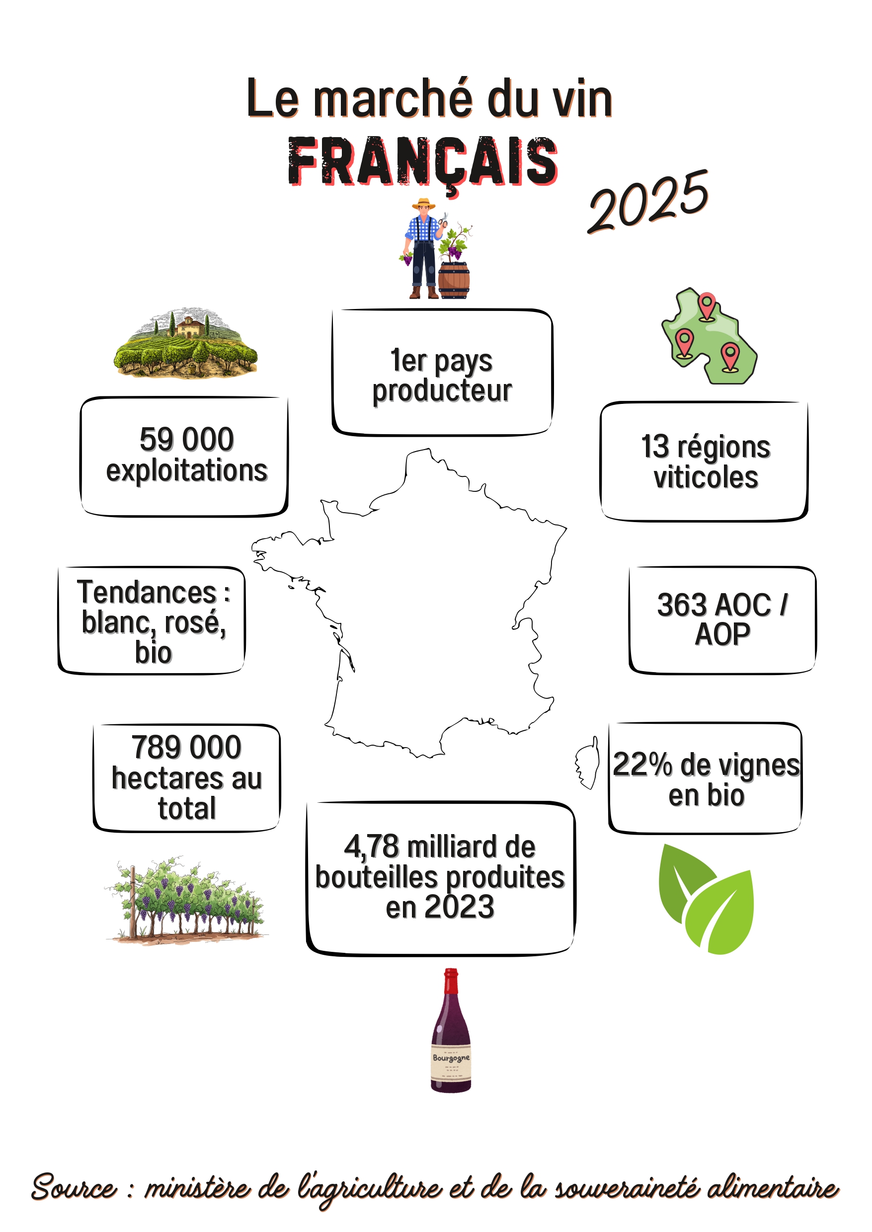 Le Marché du Vin Français en 2025 : chiffres clés, tendances bio et ...